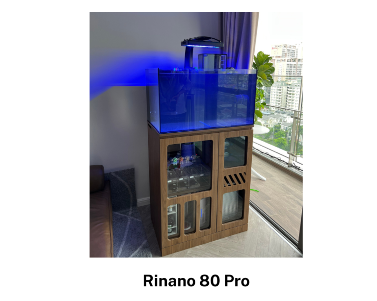 Set Hồ Rinano 80 Pro V3 - Rin Aquarium